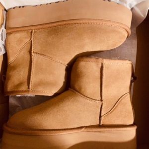 UGG | Shoes | Ugg Classic Mini Platform Boots 8 Nwt Nib Chestnut Bloggers Fav Tik Tok | Poshmark
